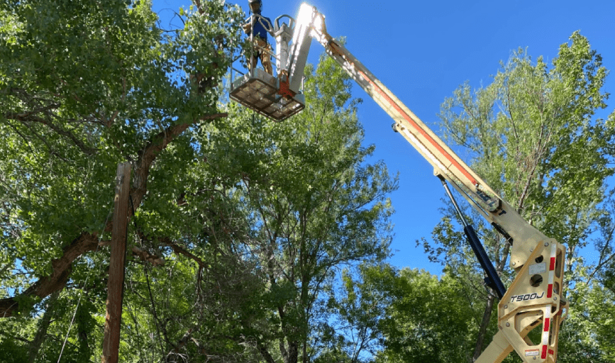 Climb It High Tree Experts Offers Tree Pruning in Cornville, AZ 86325